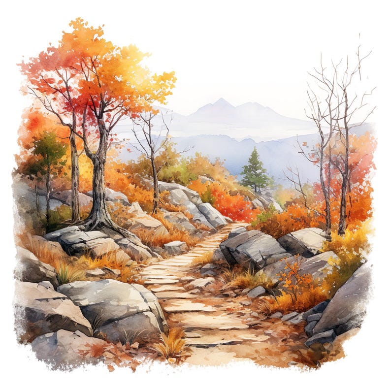 Autumn Forest Path Wall Art Bundle Printable | Fall Nature Trail ...