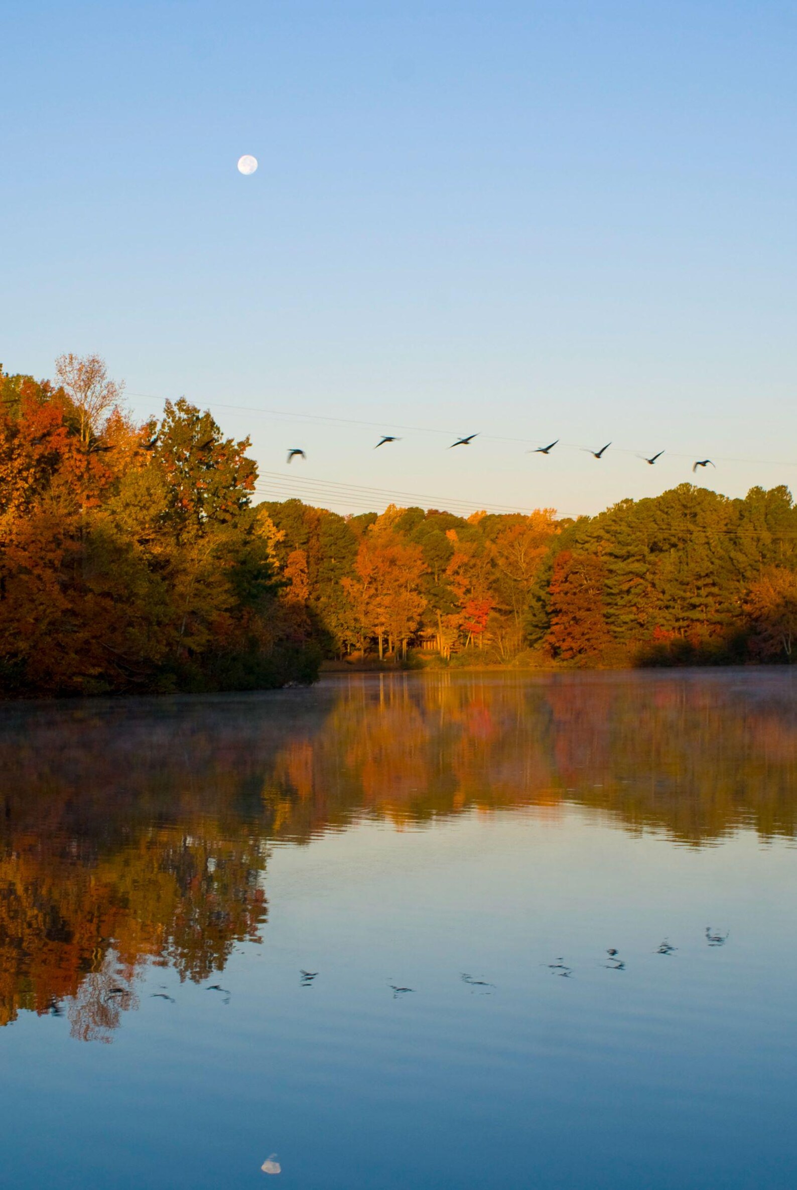 Autumn Lake Birds Print | Fall Landscape Photography | Digital Download ...