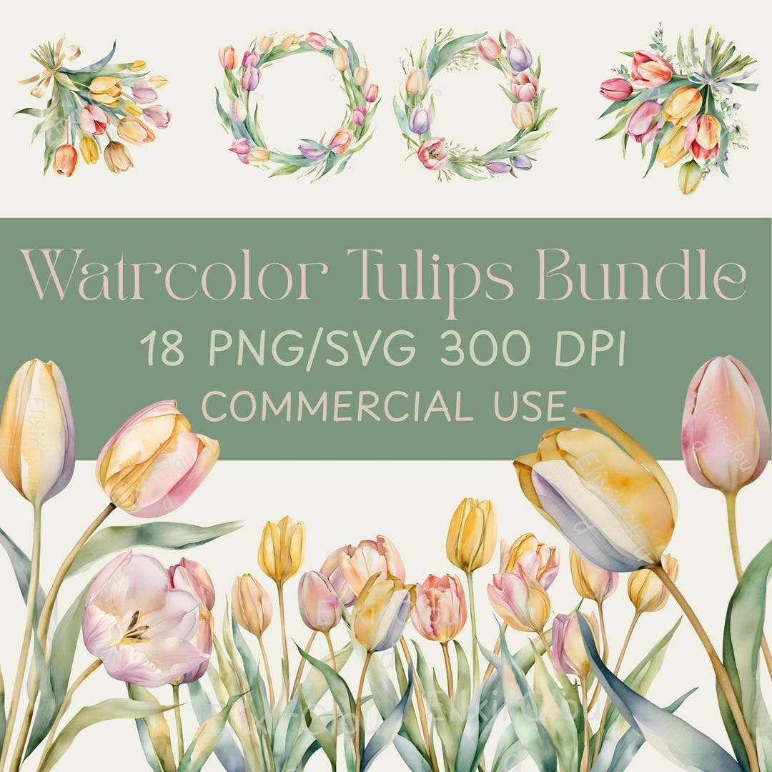 Watercolor Tulip Clipart Bundle: 18 PNG & SVG Tulips Bouquets, Prints ...