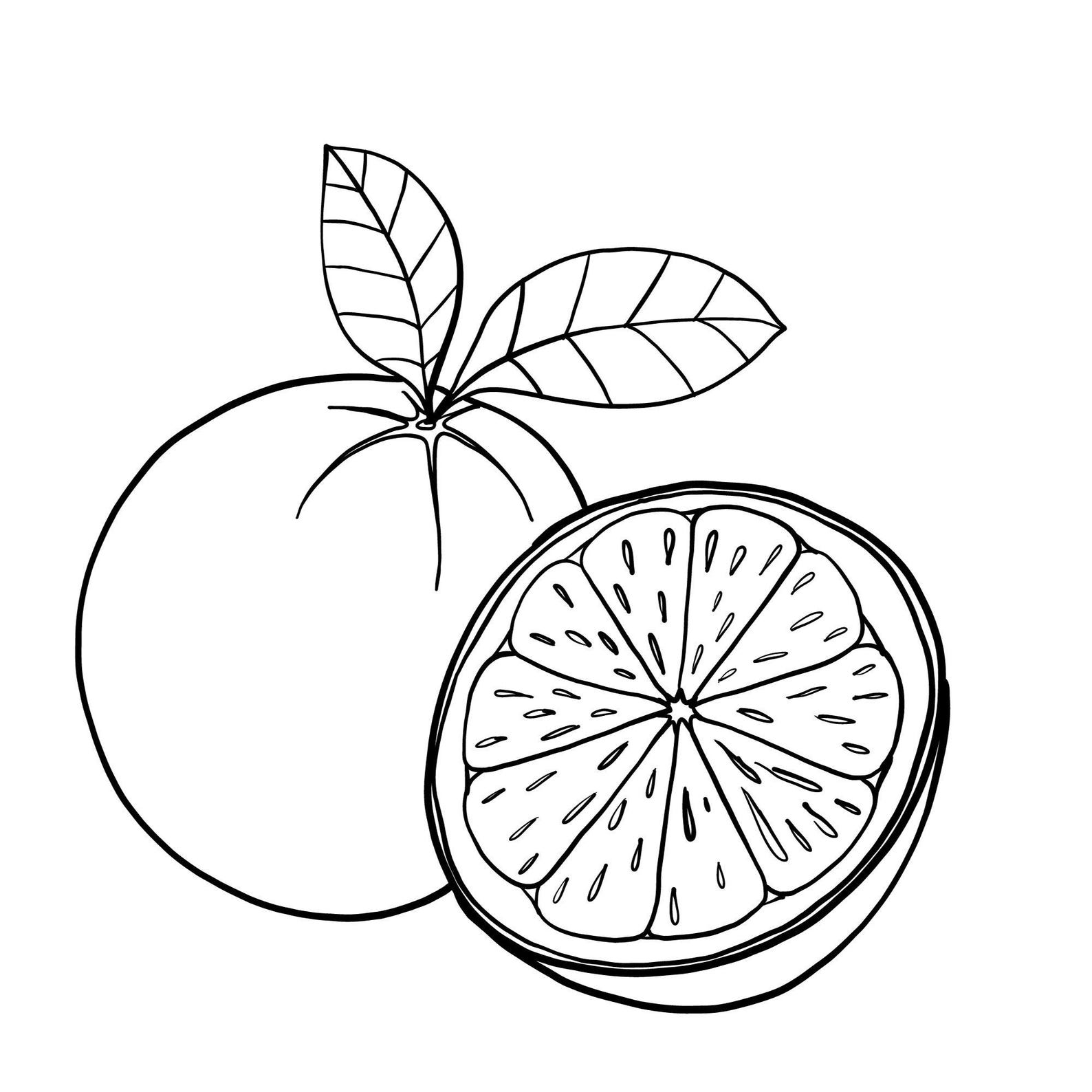 オレンジスライスクリップアートバンドル/オレンジの顔Png/ - Etsy 日本