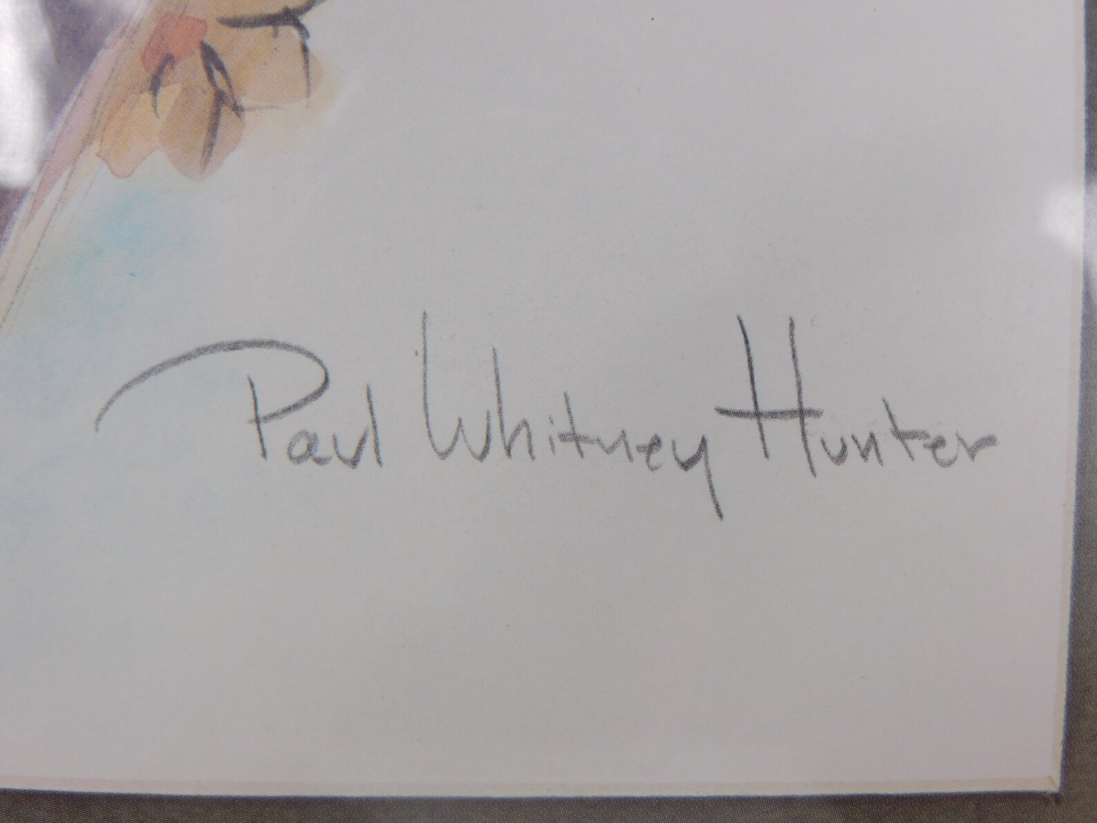 Paul Whitney Hunter Pencil Drawing 3 Birds Birch Tree - Etsy