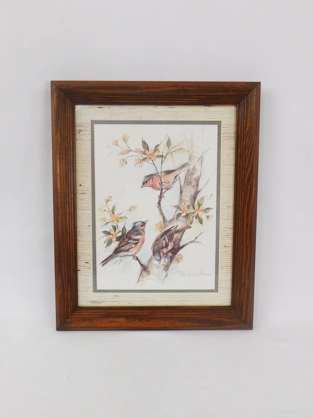 Paul Whitney Hunter, Pencil Drawing, 3 Birds, Birch Tree, Cabin Decor ...