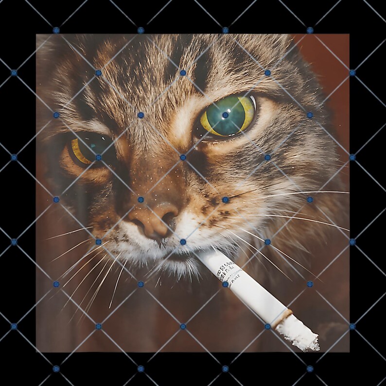 Funny Smoking Cat PNG, Gen Z Meme Kitty Design, Edgy Cat Lover Humor ...
