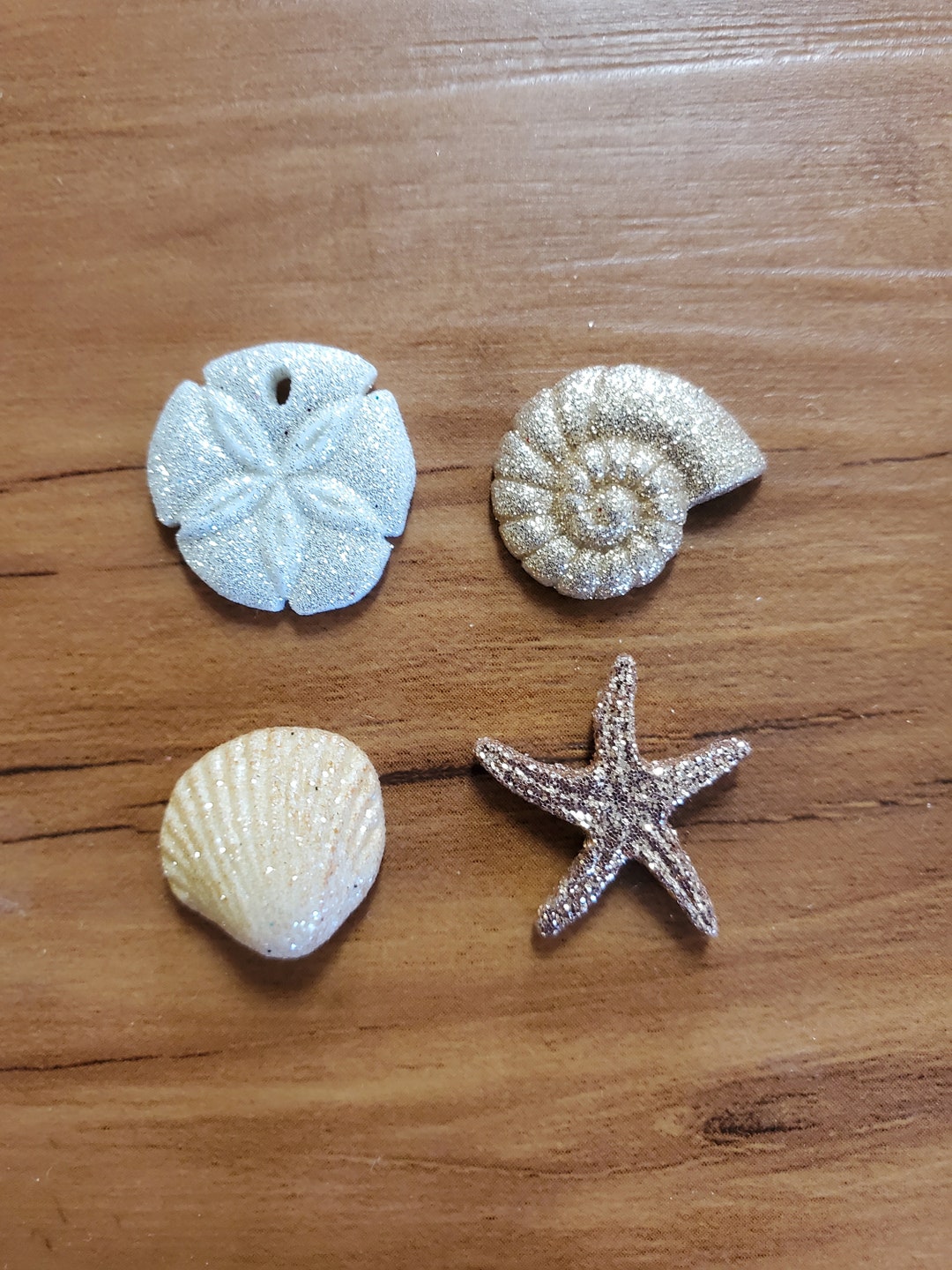 Sea Shells Shoe Charm Starfish Nautilus Sand Dollar Shell - Etsy