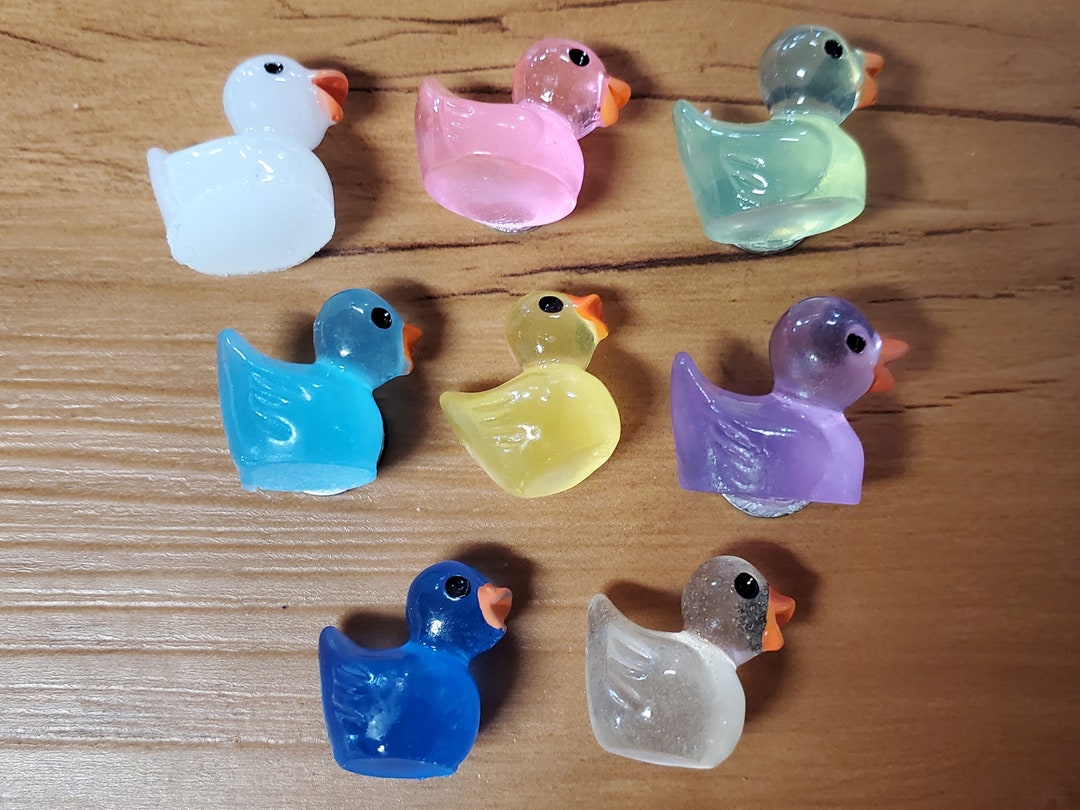 Cruising Duck Magnets Tiny Ducks Glow in the Dark Fish - Etsy