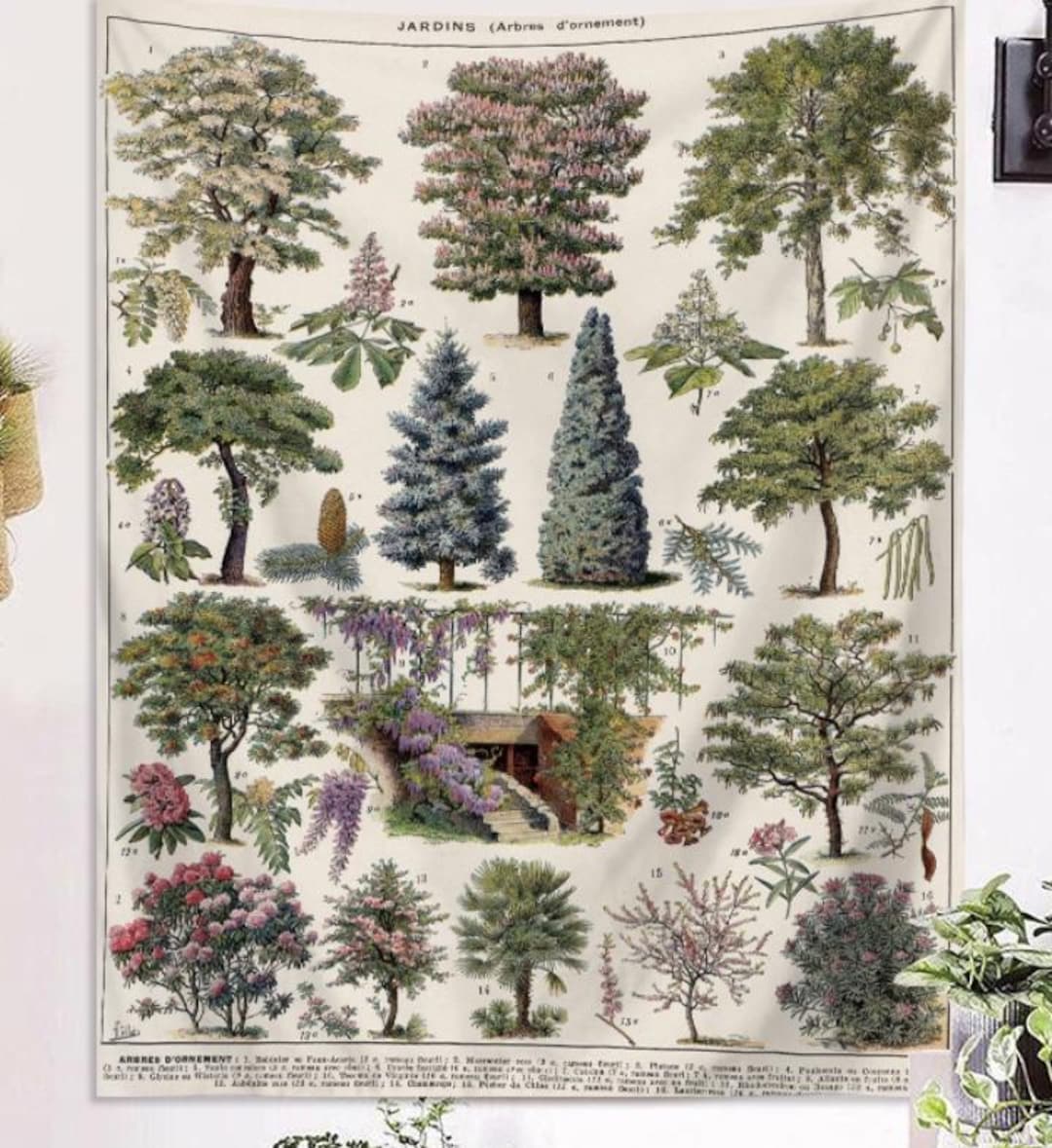 Vintage Botanical Tree Illustration Tapestry — French Nature Chart Wall ...