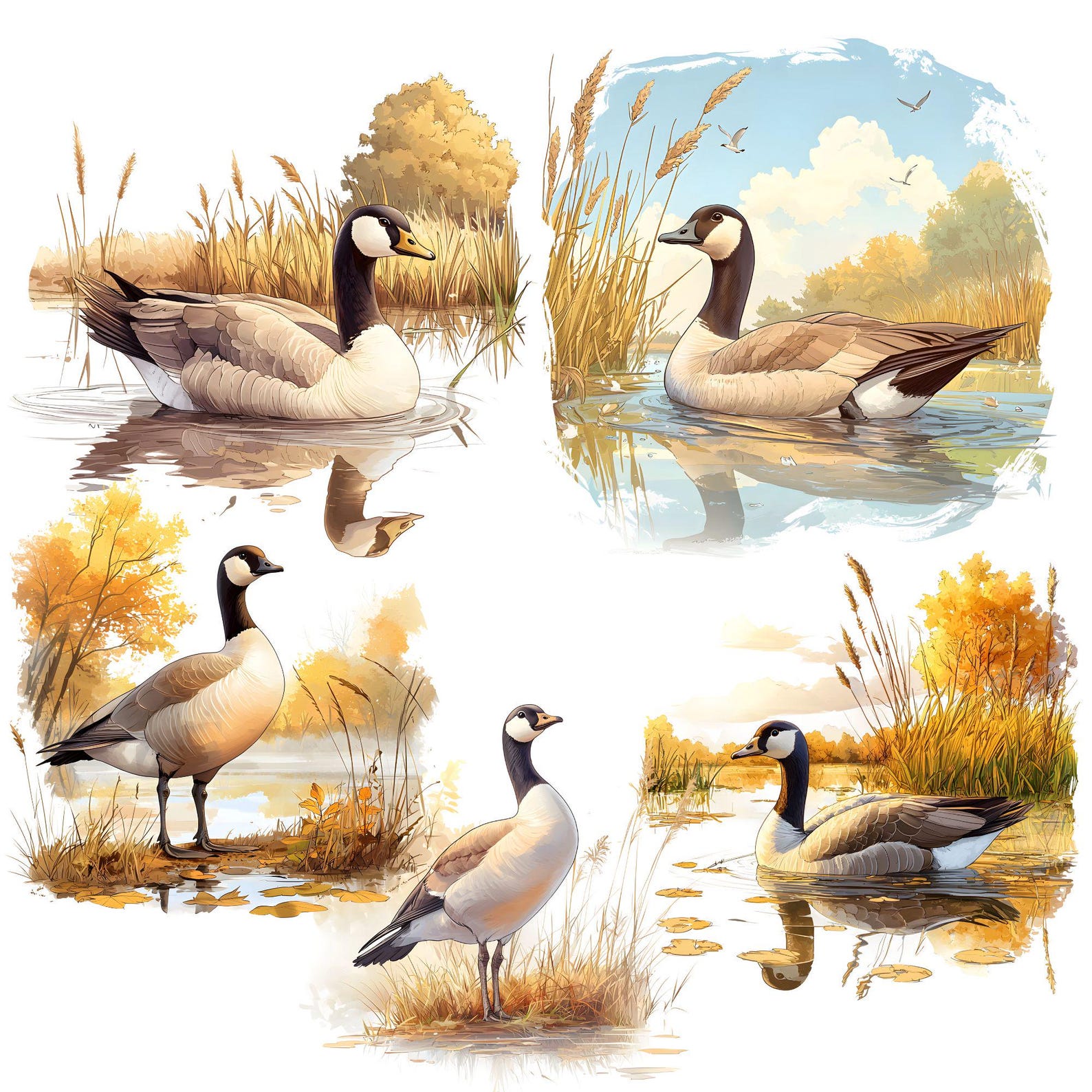 Wild Geese Clip Art PNG Set Cute Wild Goose Illustrations in Storybook ...