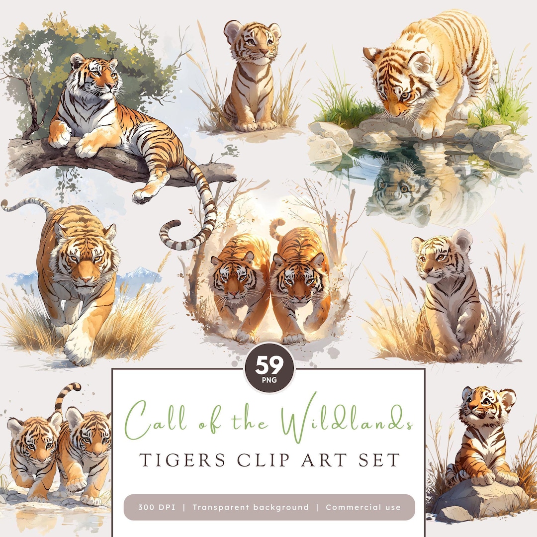 Tiger Clip Art PNG Set Jungle Wildlife Cute Animals Clipart Baby Tiger ...