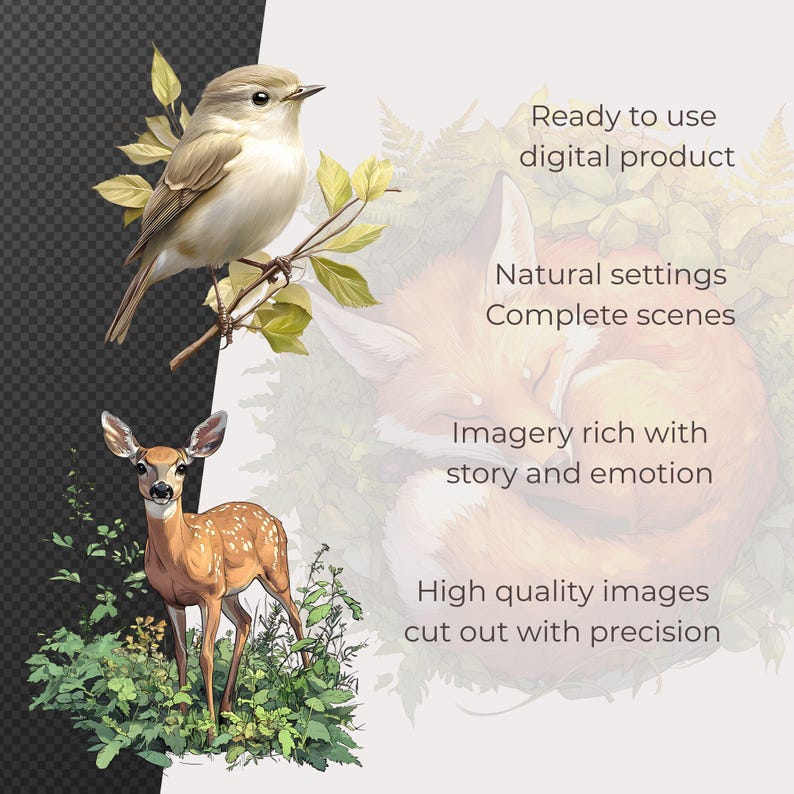 Woodland Animals Clip Art PNG Set Cute Animal Clipart Forest Creatures ...