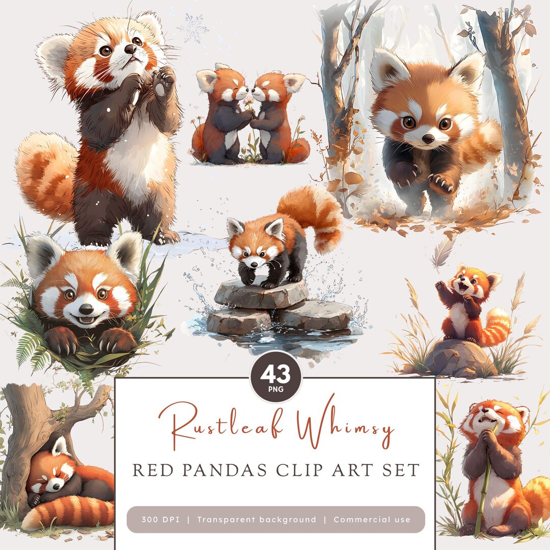 Red Panda Clip Art PNG Set Whimsical & Cute Animal Clipart Baby Red ...