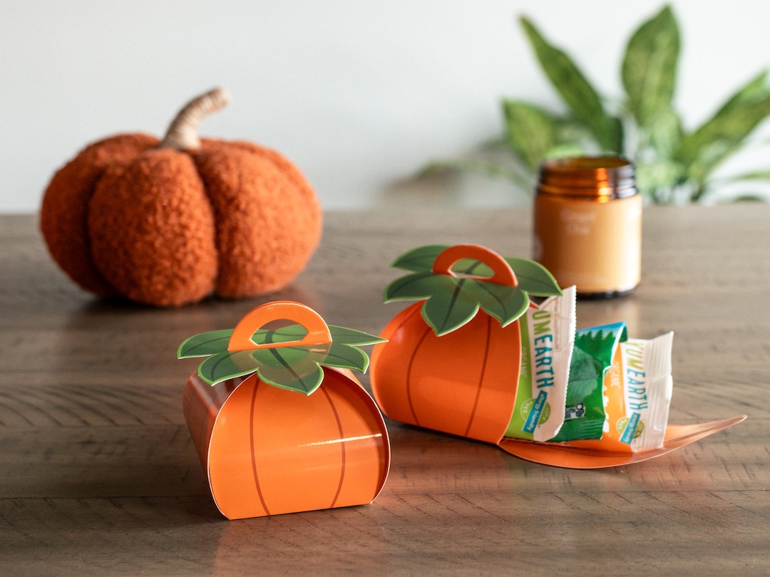 Healthy Fall Themed Party Favors: Organic, Allergen-friendly, Dye Free ...
