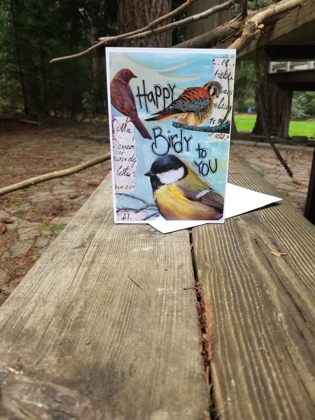 Bird Card, Bird Watchers Birthday Card, Bird Lovers, Fun Loving ...