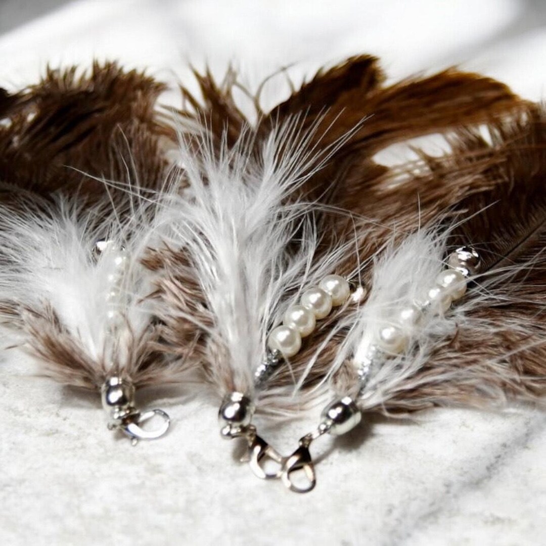 Ostrich Feather Wand Refills – Interactive Teaser Toy With Bell, Set of ...