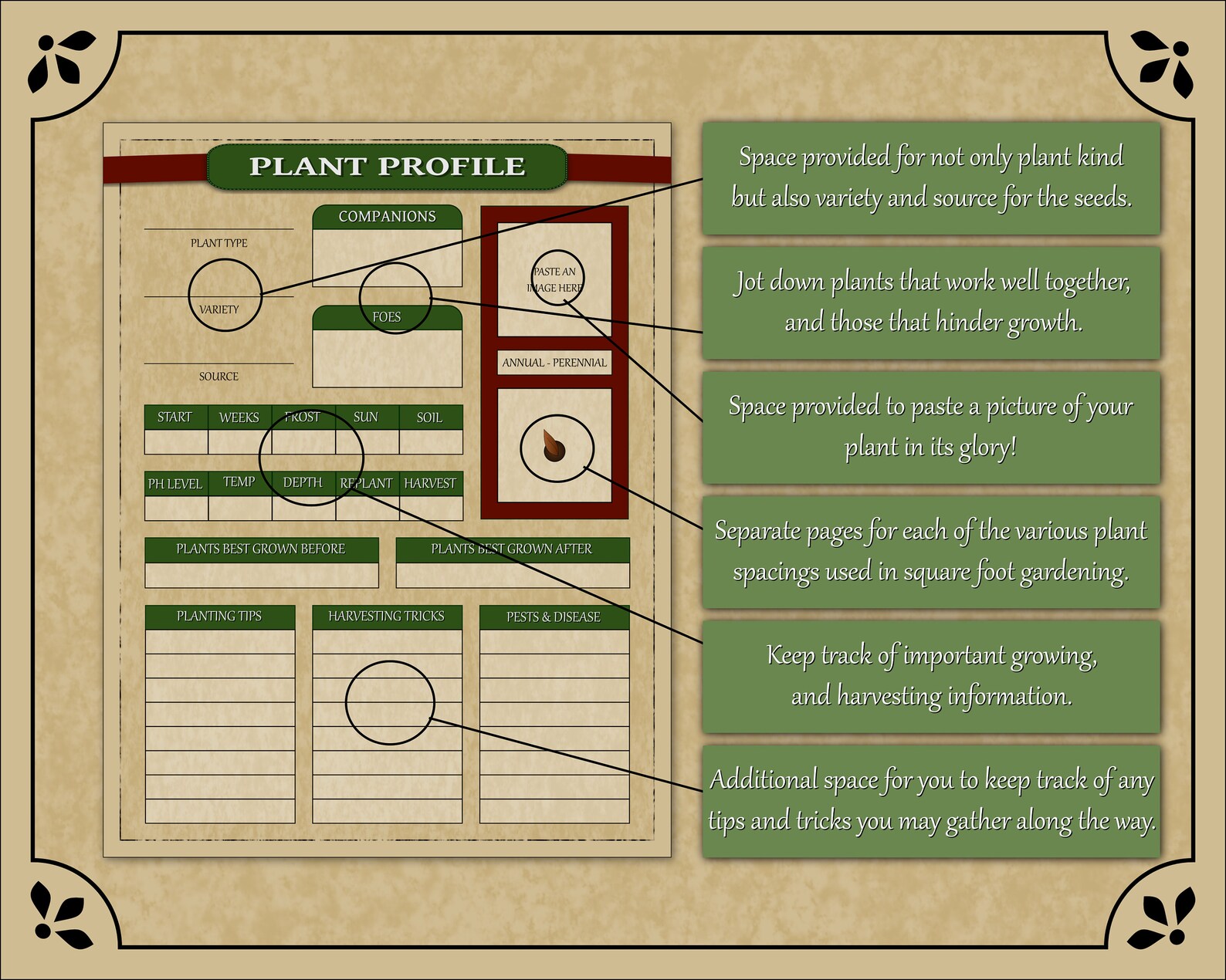 Printable Garden Planner Plant Profile Insert, INSTANT DOWNLOAD, - Etsy