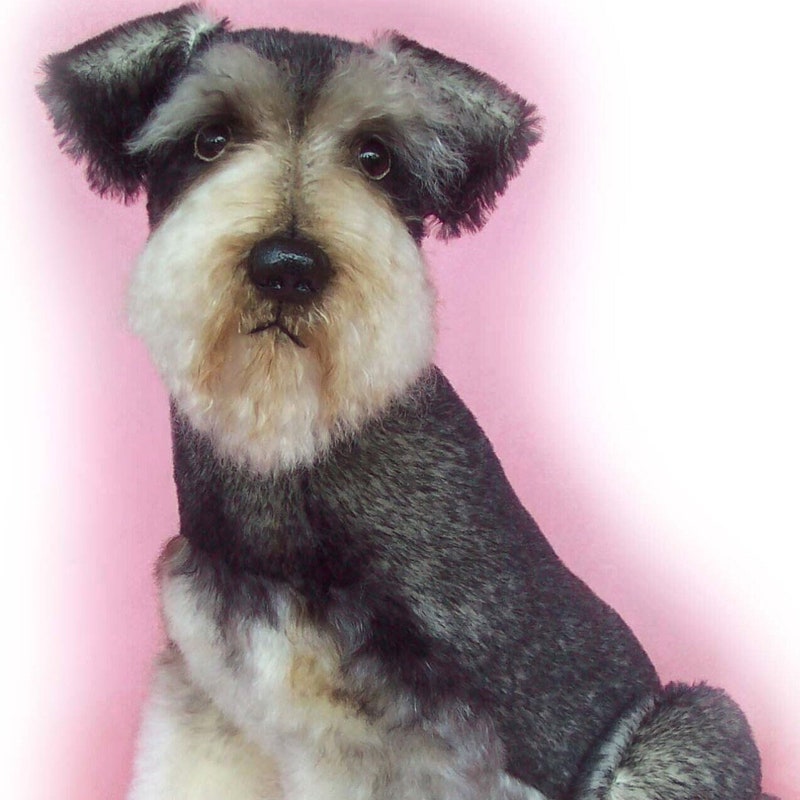 Lisa Pay Patterns - Etsy UK