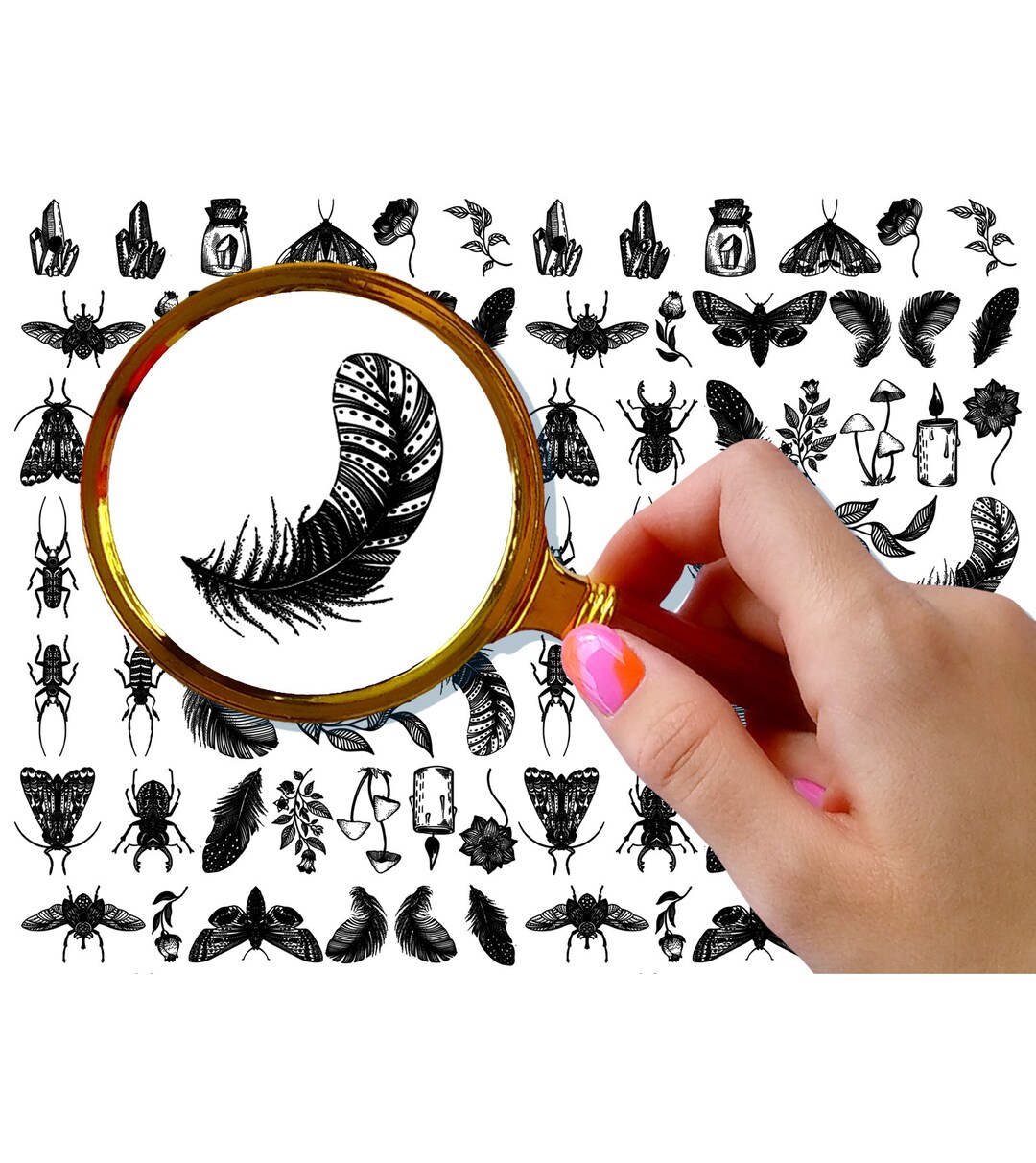 Nail Decals (5 Sheets) Black and White Ink Vintage Moths Feathers Bugs ...