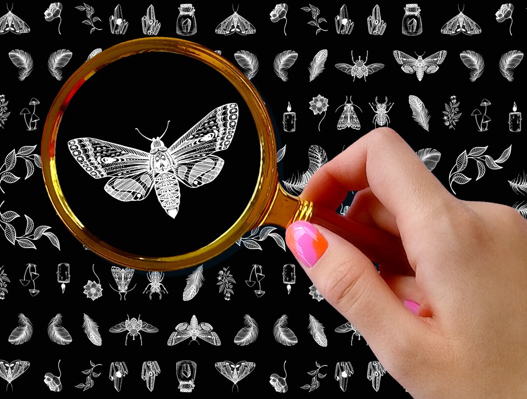 Nail Decals (5 Sheets) ~ Simple White Moths Feathers and Bugs Nail ...