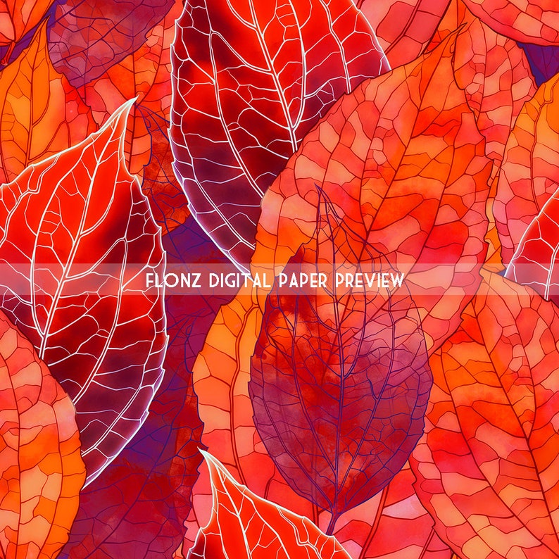 DIGITAL PAPER Set 8 Designs 3000x3000 Pixels 600 Dpi - Etsy