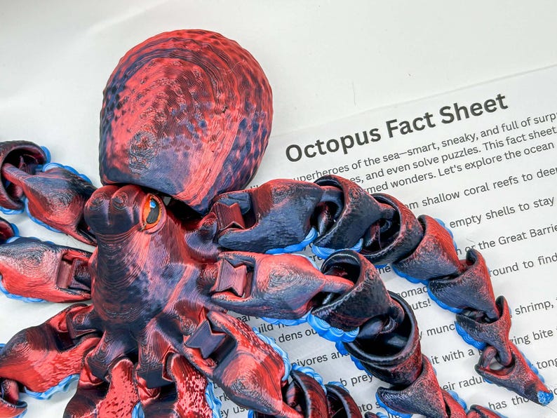 3D Printed Octopus - Etsy