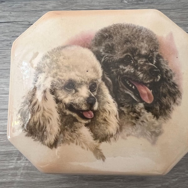 Poodles Trinket Box - Etsy