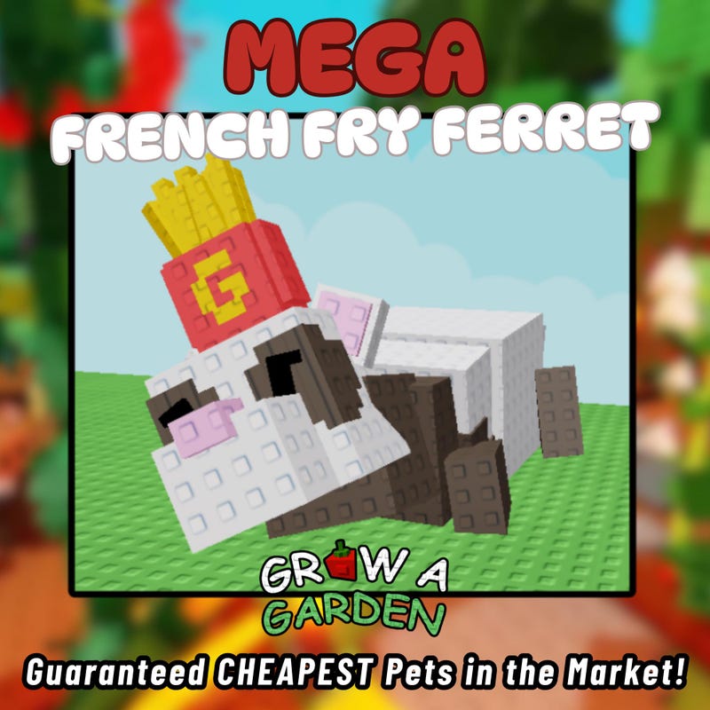 Install Svelte Kit on Raspberry Pi - Etsy Canada