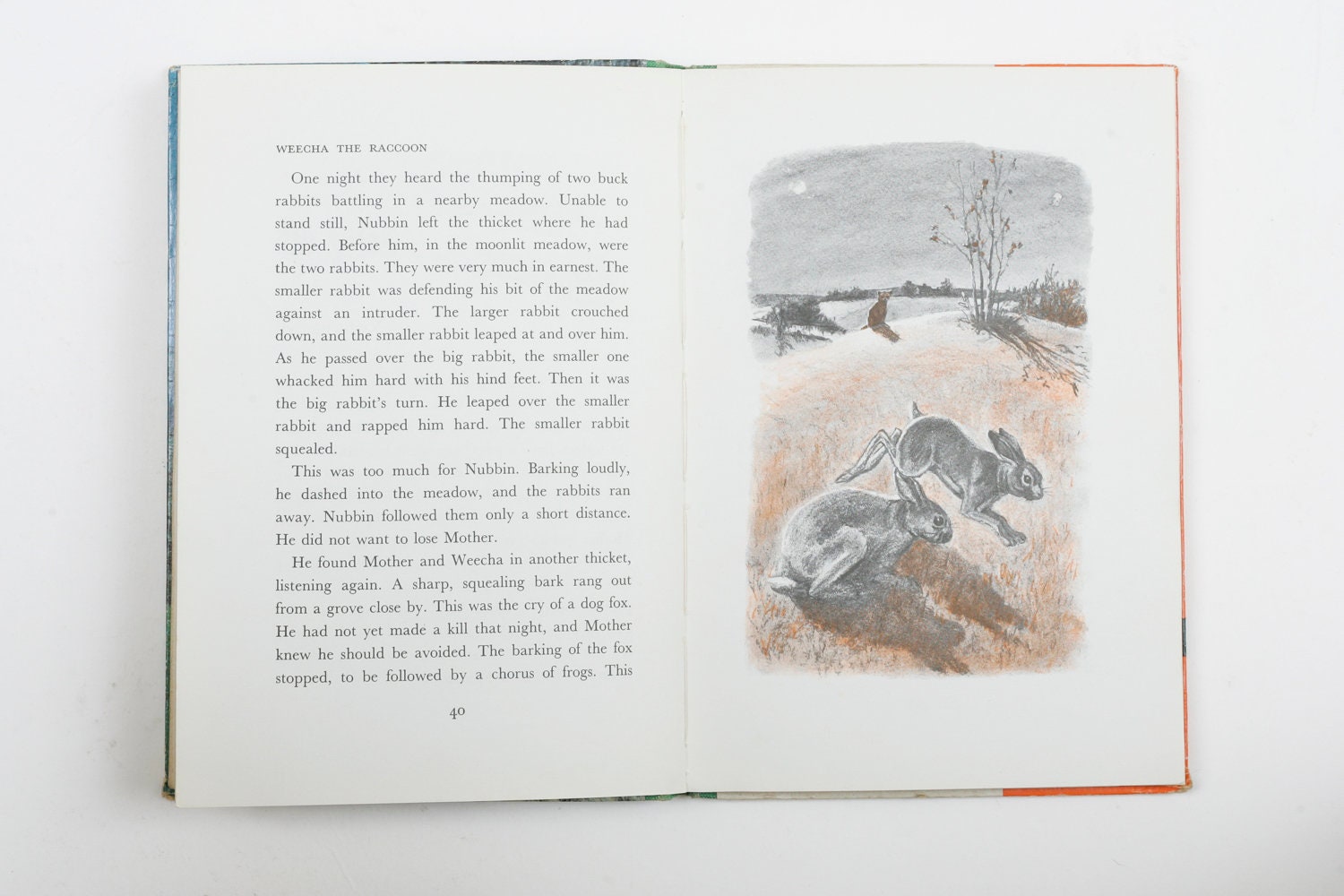 Weecha the Raccoon by Rutherford Montgomery Disney 1960 - Etsy