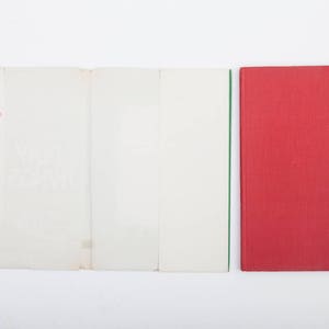 The Young Boy's Book of Play Ideas and Things to Do by Caroline ...