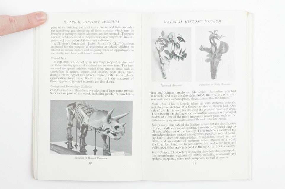 Guide to London Museums and Galleries, 1951 - Etsy