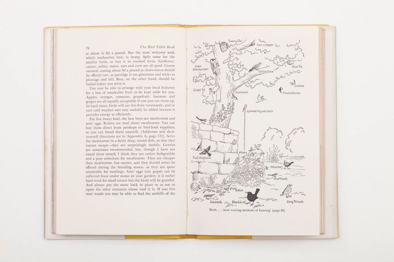 The Bird Table Book by Tony Soper, Illustrated by Robert Gillmor ...