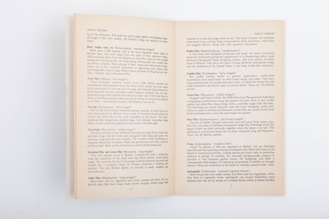 Discovering Garden Insects and Other Invertebrates by Anthony Wootton ...