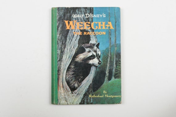Weecha the Raccoon by Rutherford Montgomery Disney 1960 | Etsy