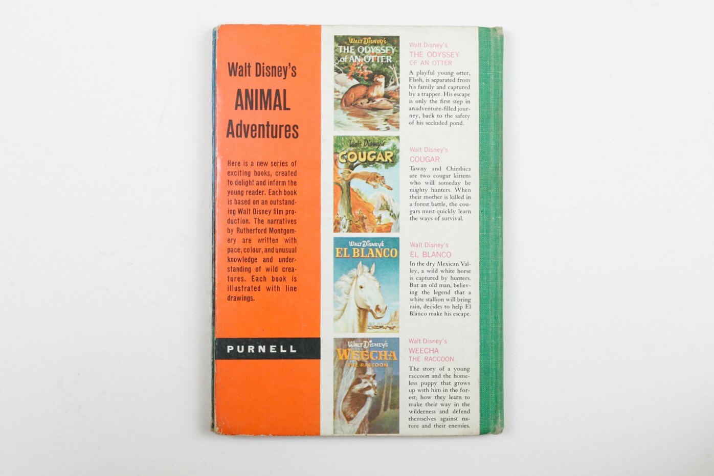 Weecha the Raccoon by Rutherford Montgomery Disney 1960 - Etsy