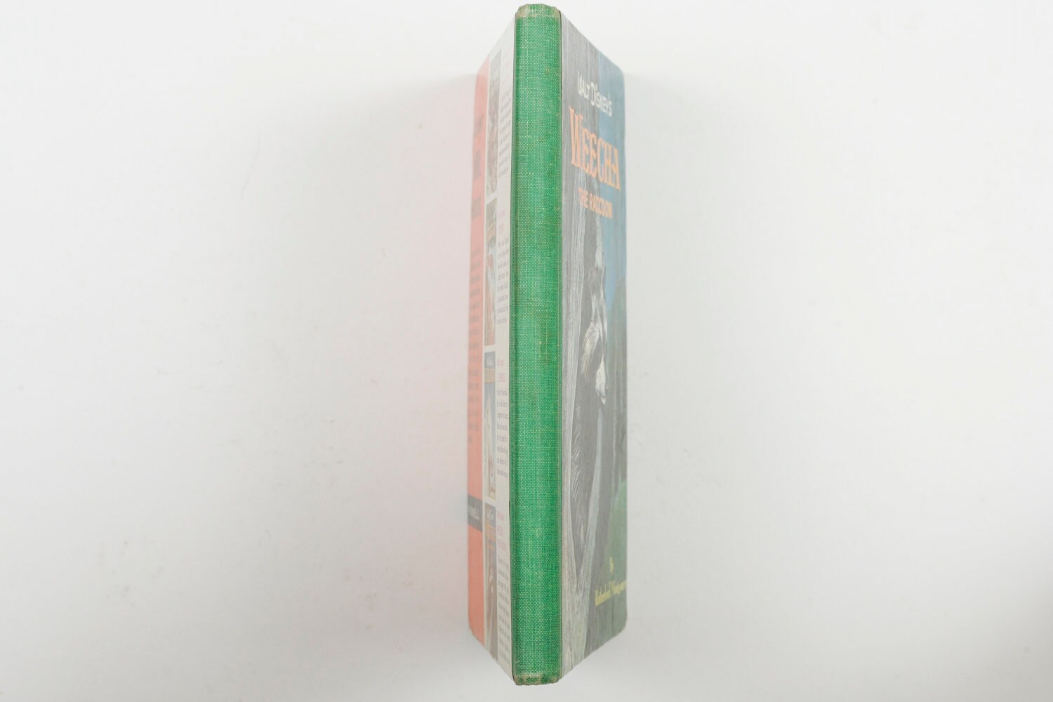 Weecha the Raccoon by Rutherford Montgomery Disney 1960 - Etsy