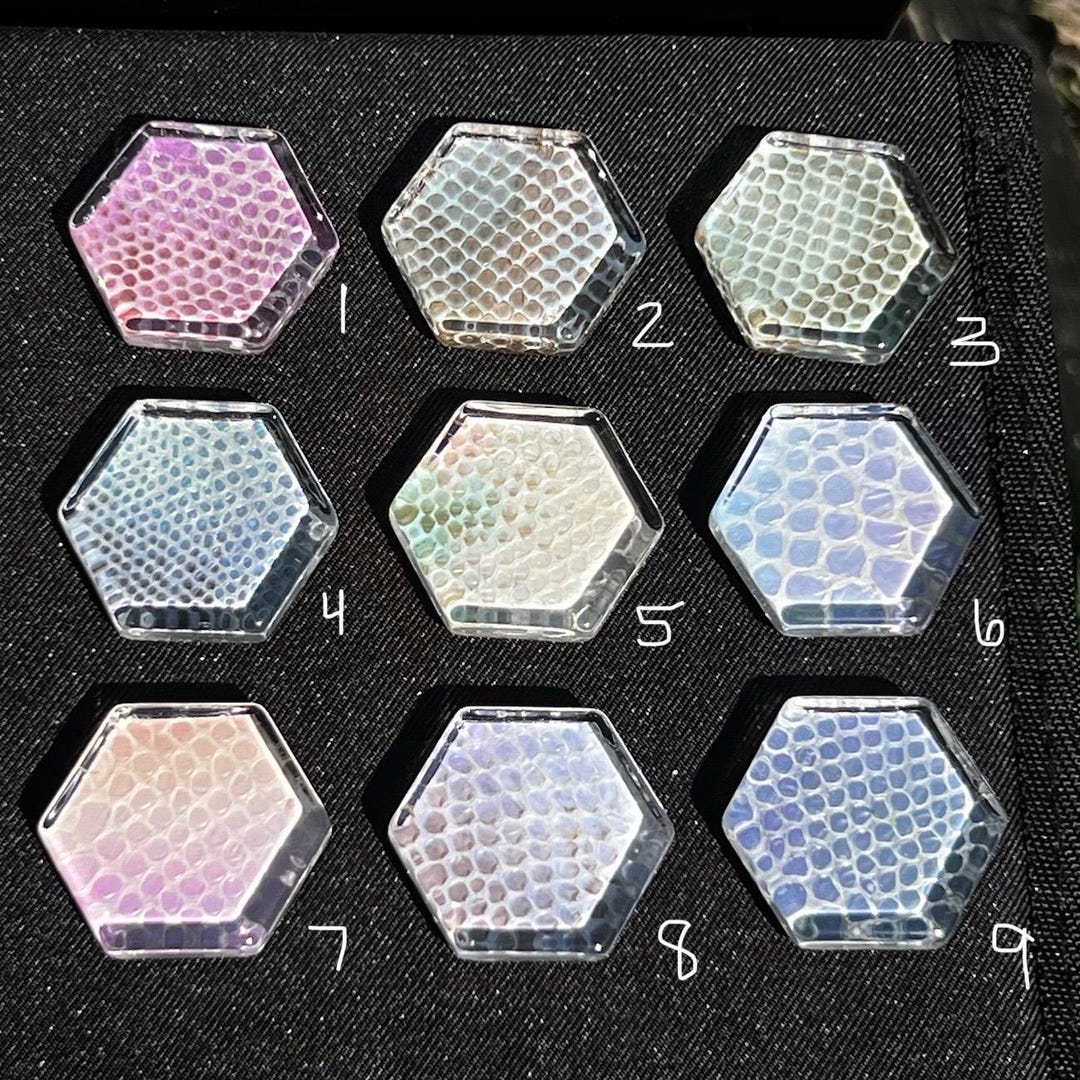 Real Snake Shed Magnets - Etsy
