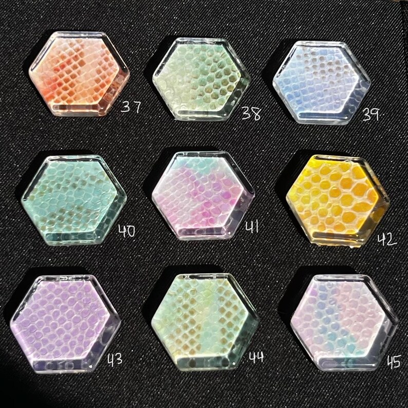 Real Snake Shed Magnets - Etsy