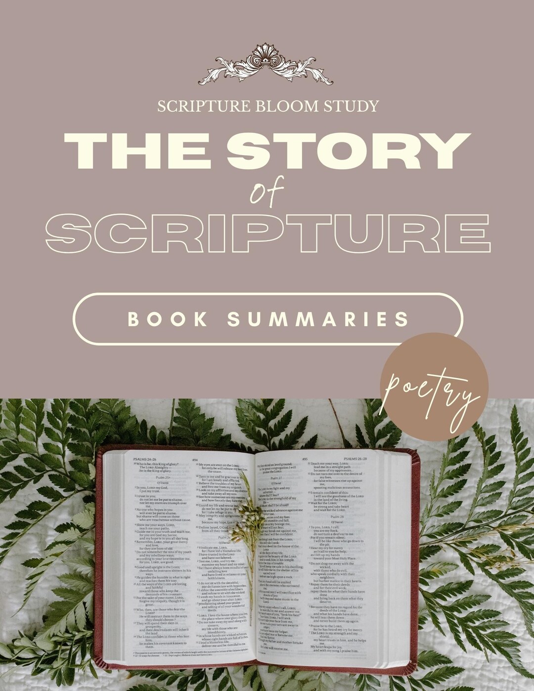 The Story of Scripture: Poetry Book Summaries | Instant Download - Etsy