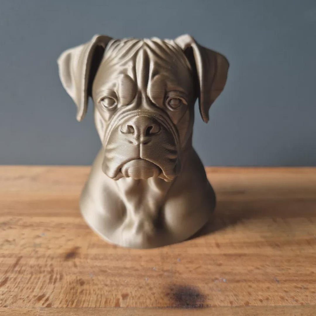 Boxer Bust / Realistic Boxer Dog Bust – Hand-painted & Detailed - Etsy