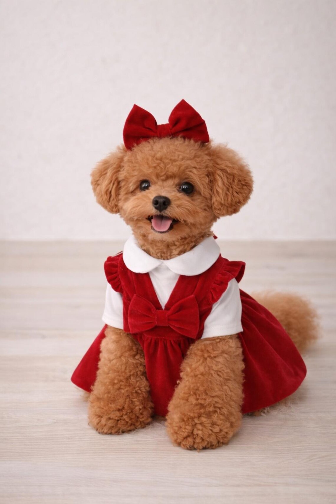 Red Velvet Dog Dress With Bow, Luxury Small Dog Outfit, Elegant Puppy ...