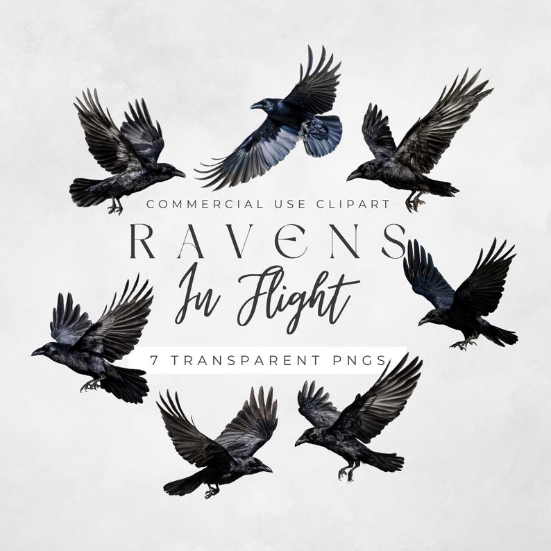 Ravens Clipart & Digital Papers Pack | Gothic Ravens | Transparent Pngs ...