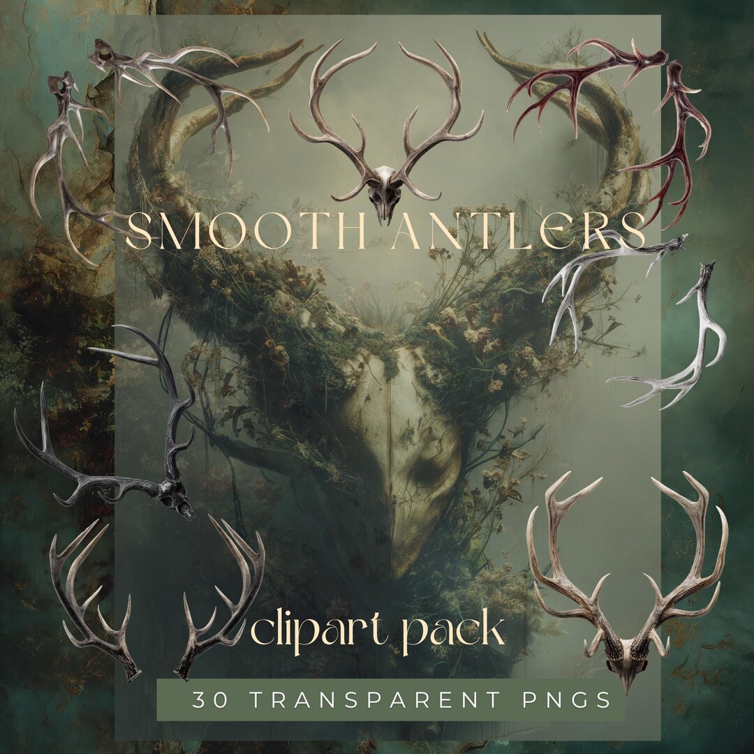 Smooth Antler Clipart - Etsy