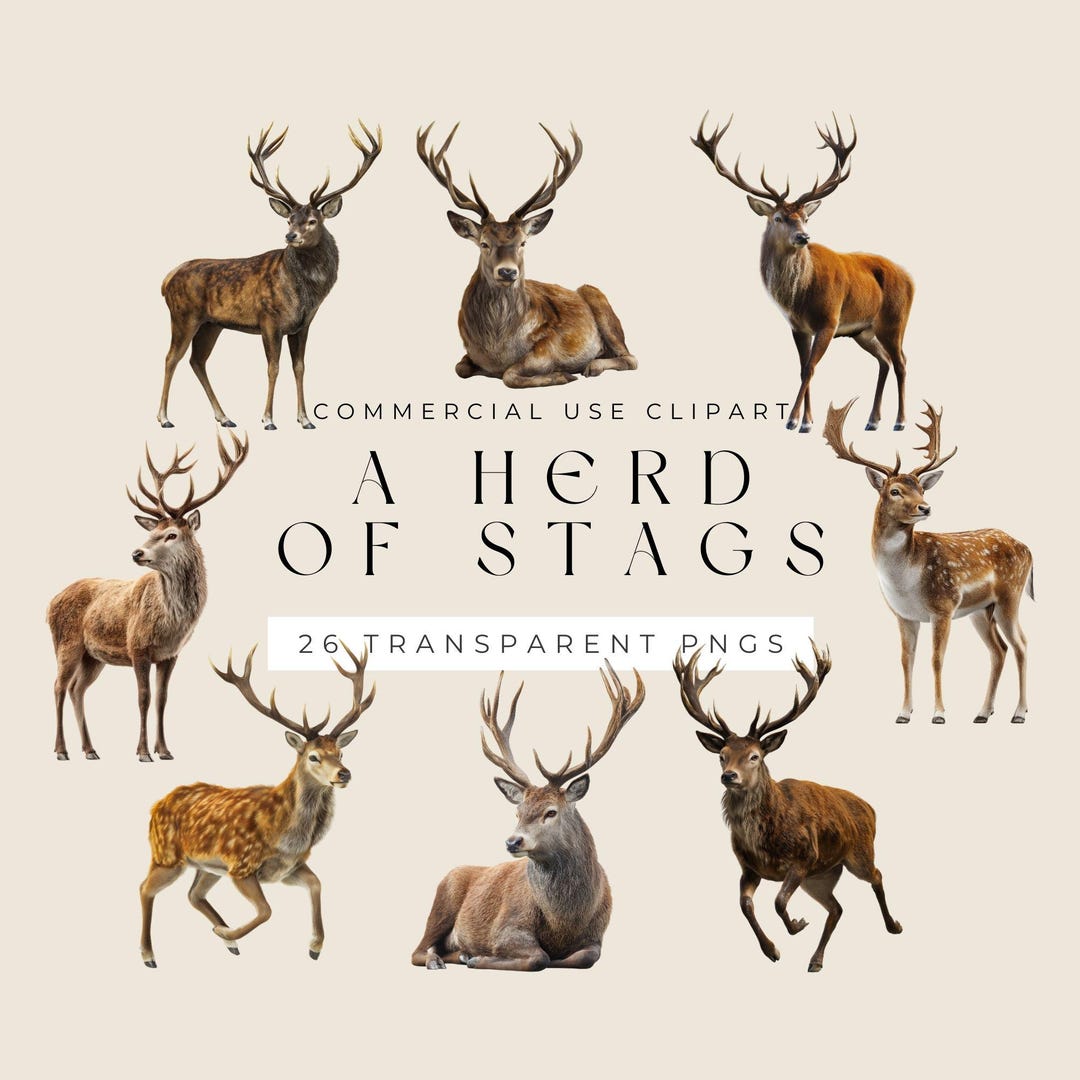 A Herd of Stags Clipart Set | 26 Transparent PNG Deer | Realistic Stag ...