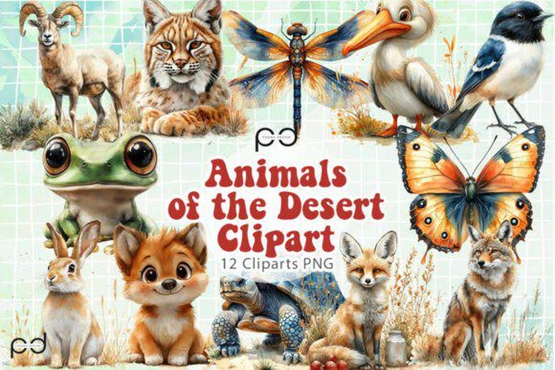 Boho Desert Animals Clipart Bundle: Safari Wildlife PNG Graphics - Etsy