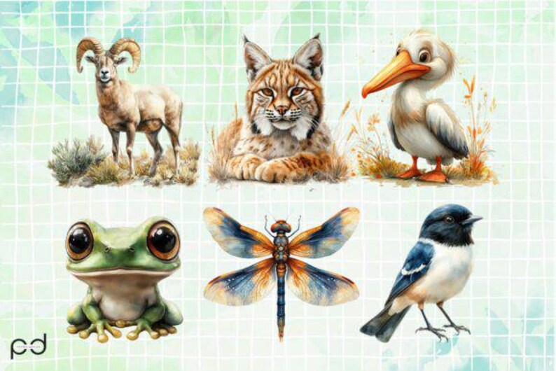 Boho Desert Animals Clipart Bundle: Safari Wildlife PNG Graphics - Etsy