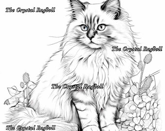 Ragdoll Cat Digital Coloring Set 18 Pages | Coloring Book Pages for ...