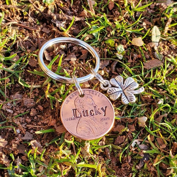 Lucky Penny Keychain - Etsy