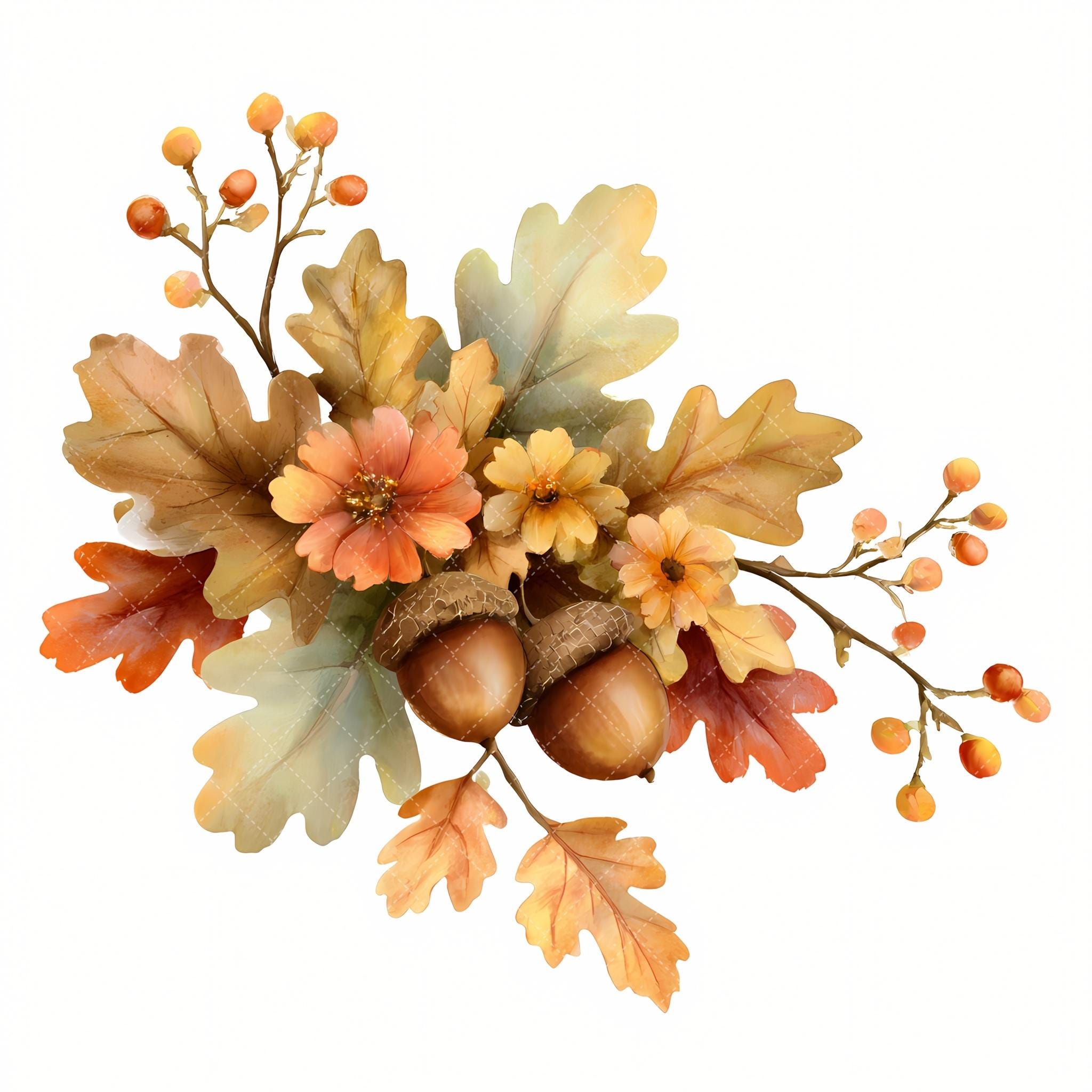 83 JPG Watercolor Fall Leaves & Acorn Cliparts, Autumn Borders Clipart ...