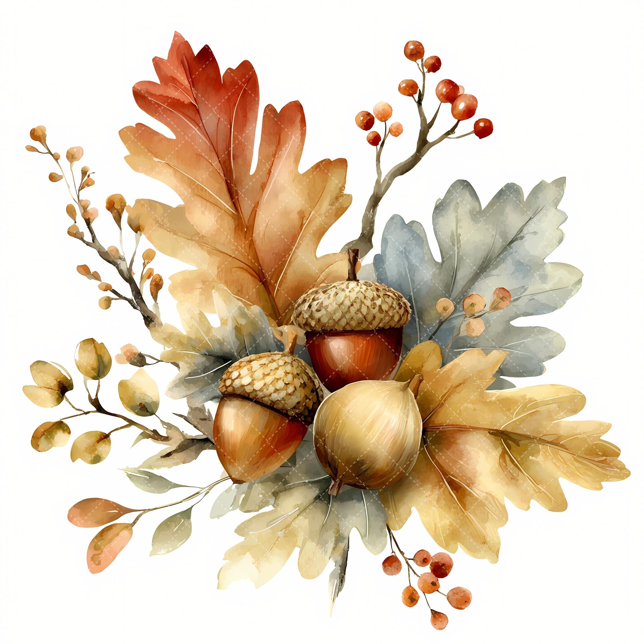 83 JPG Watercolor Fall Leaves & Acorn Cliparts, Autumn Borders Clipart ...
