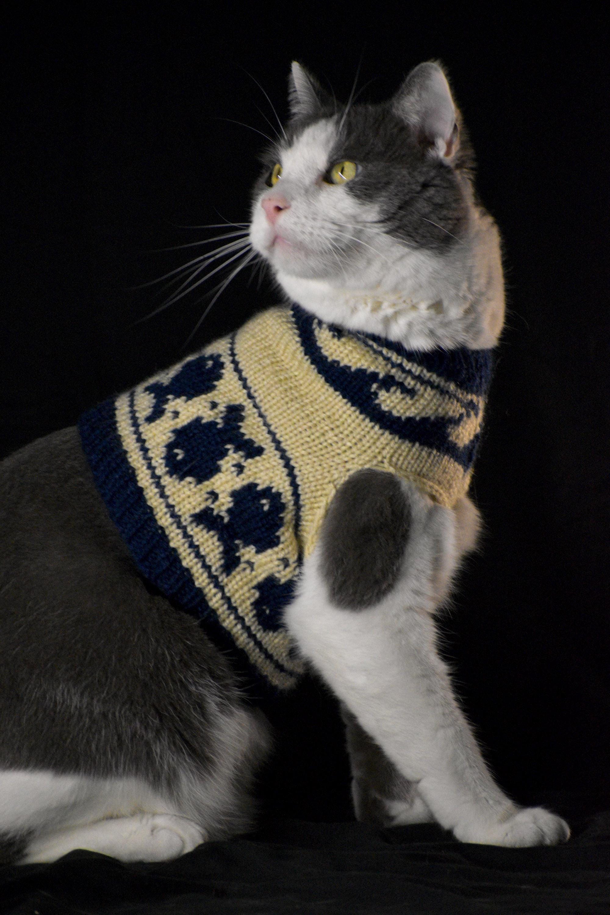 Super Cute Cat Sweater Knitting Pattern: Fish, Halloween, Holiday (PDF ...