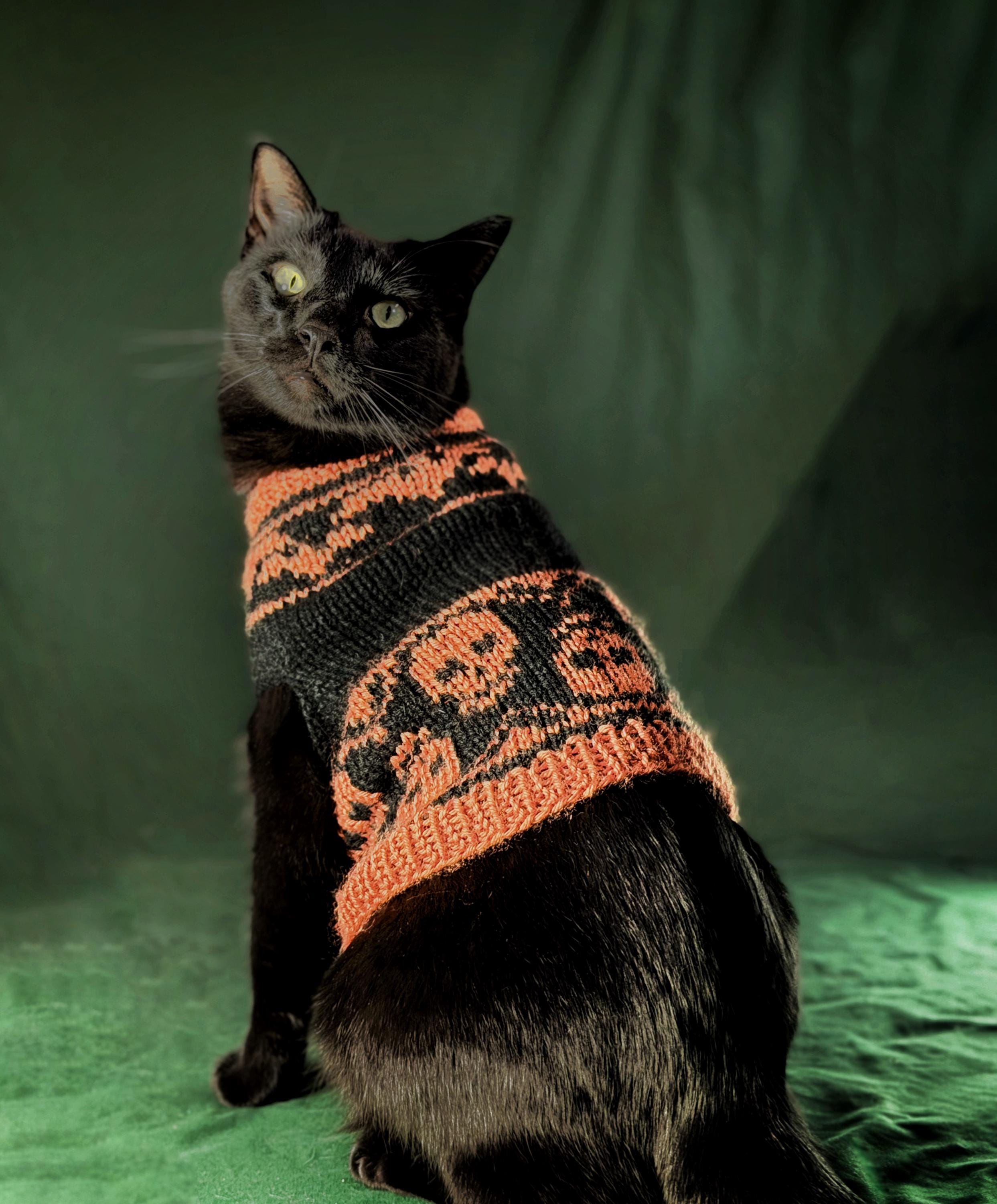 Super Cute Cat Sweater Knitting Pattern: Fish, Halloween, Holiday (PDF ...