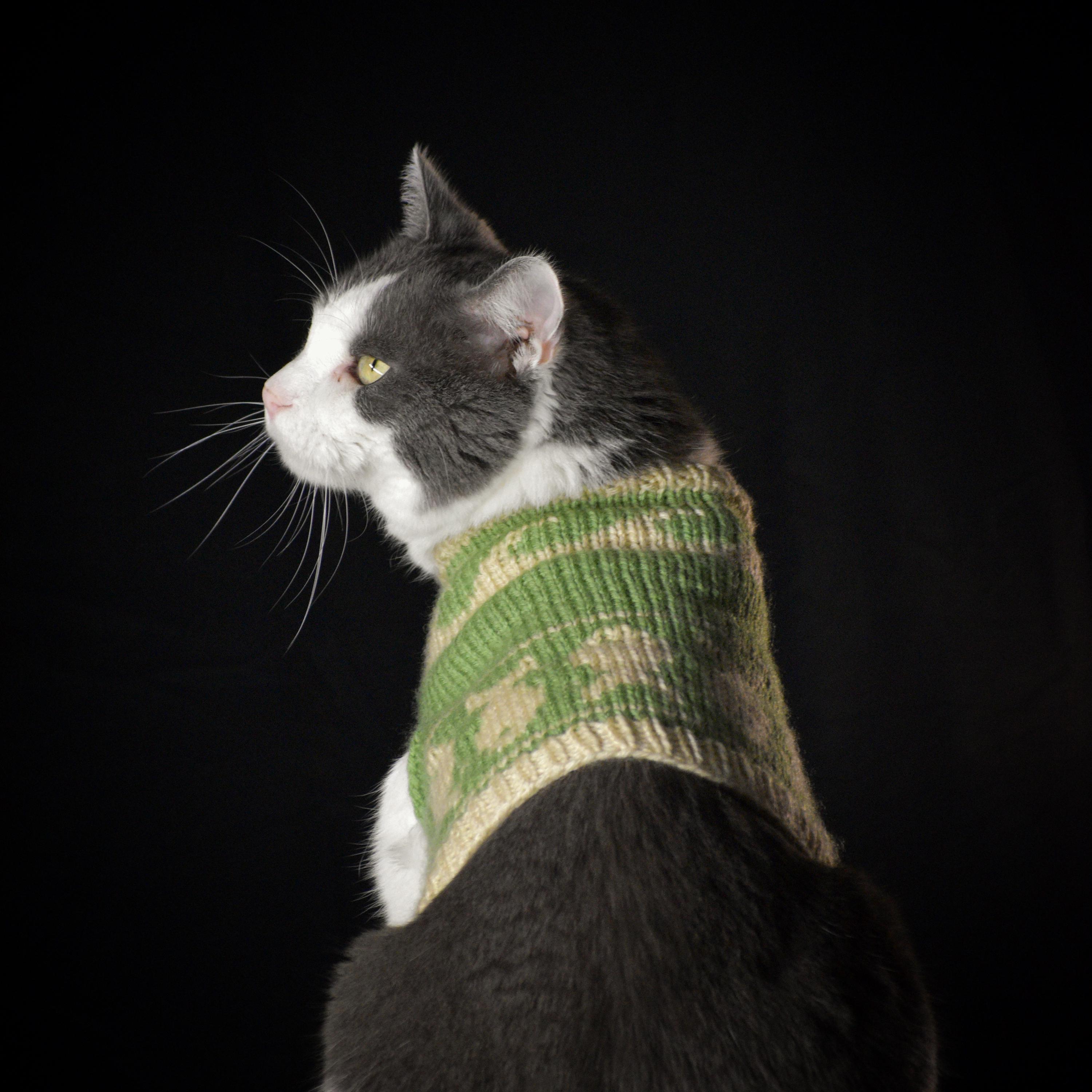 Super Cute Cat Sweater Knitting Pattern: Fish, Halloween, Holiday (PDF ...